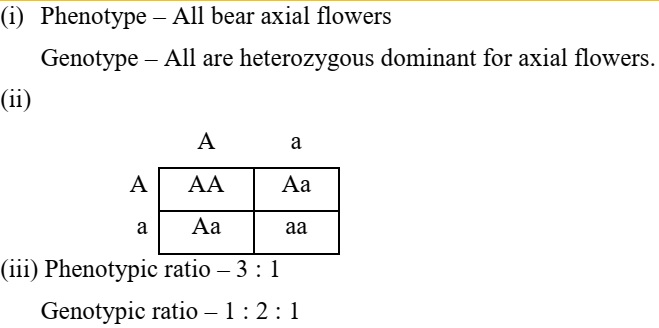 In a homozygous pea plant, axial flowers (A) are dominant over terminal ...